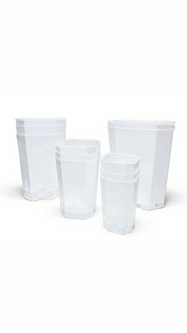 Planter Pots for Life - Transparent Planter Pots – Plantthatplant