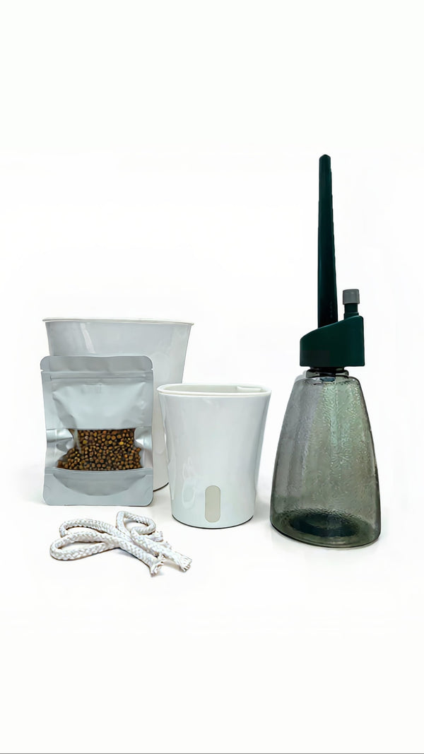 Lazy Plant Parent Bundle - Self-Watering Kit – Plantthatplant