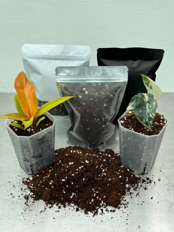 Home made Aroid Soil Mix- perfect for aroid plants – Plantthatplant